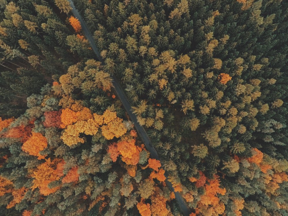 Finding our authentic self and dignity and the Image of God | Al Ngu ...