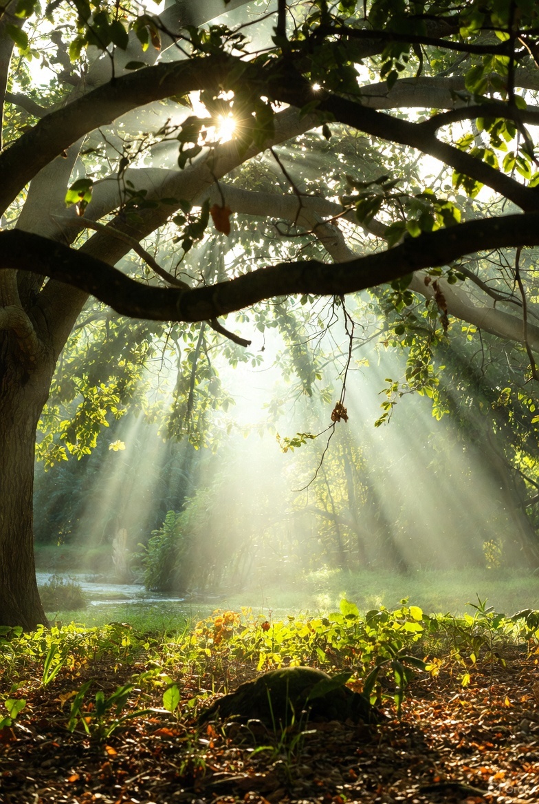 Faith is the key that unlocks heaven’s storehouse. | Al Ngu sermons ...